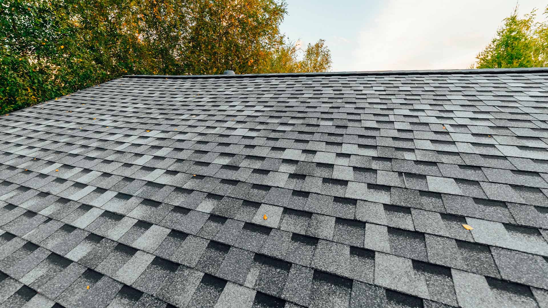 Roof shingles | Simplex